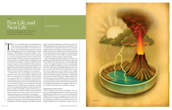 (PDF) First life, and next life