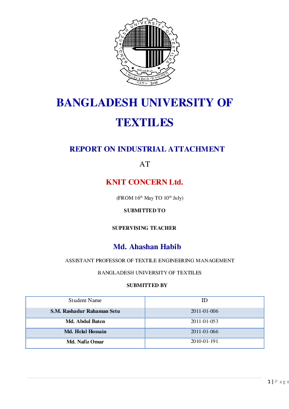 (PDF) Industrial Report Final