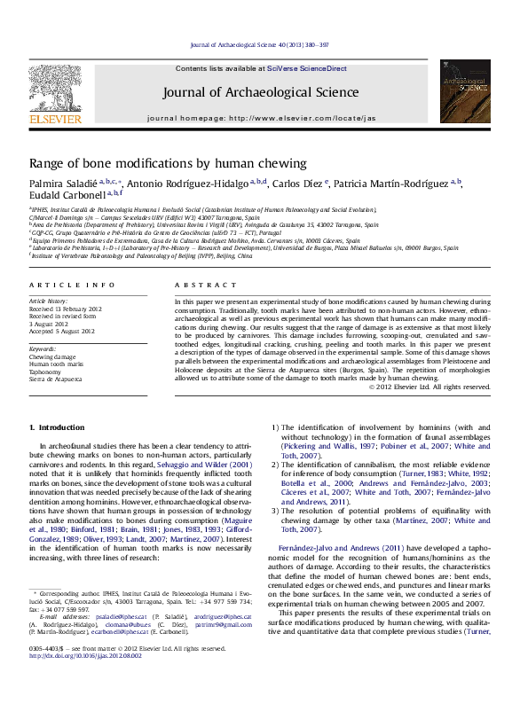 (PDF) Range of bone modifications by human chewing