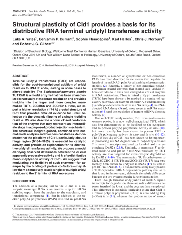 (PDF) NAR structure | Sophie Fleurdepine - Academia.edu