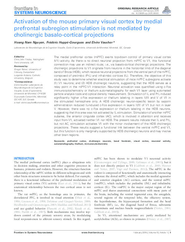 (PDF) Activation of the mourse primary visual cortex by medial ...