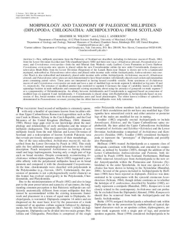 (PDF) Morphology and taxonomy of Paleozoic millipedes (Diplopoda ...