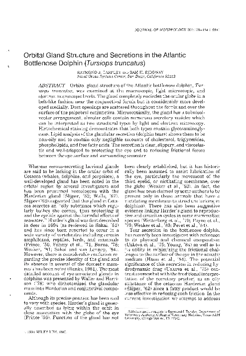 (PDF) Orbital Gland Structure and Secretions in the Atlantic Bottlenose ...