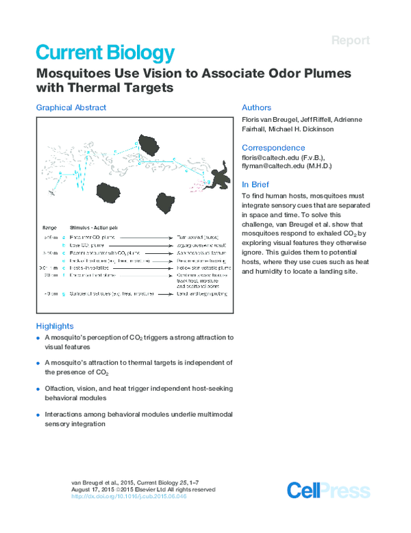 (PDF) Mosquitoes Use Vision to Associate Odor Plumes with Thermal Targets