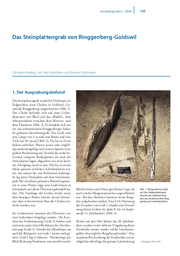 (PDF) Das Steinplattengrab von Ringgenberg-Goldswil