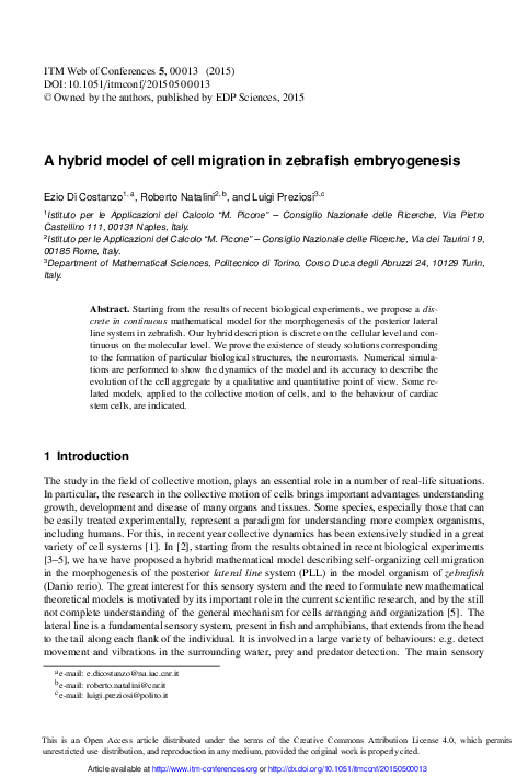 A hybrid model of cell migration in zebrafish embryogenesis