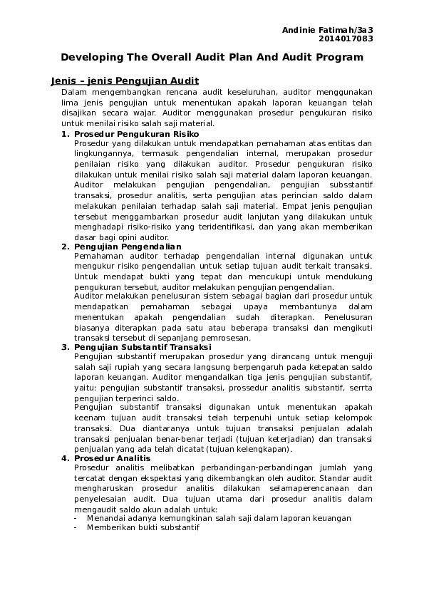 (DOC) Developing The Overall Audit Plan And Audit Program