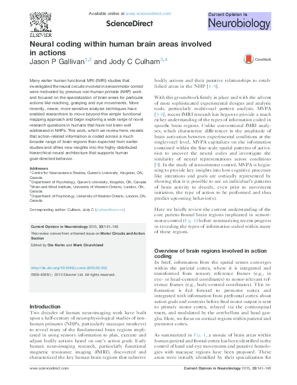Pdf Neural Coding Within Human Brain Areas Involved In Actions