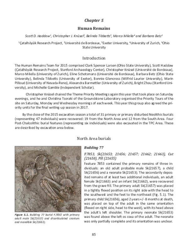 (PDF) Çatalhöyük Human Remains Archive Report 2015