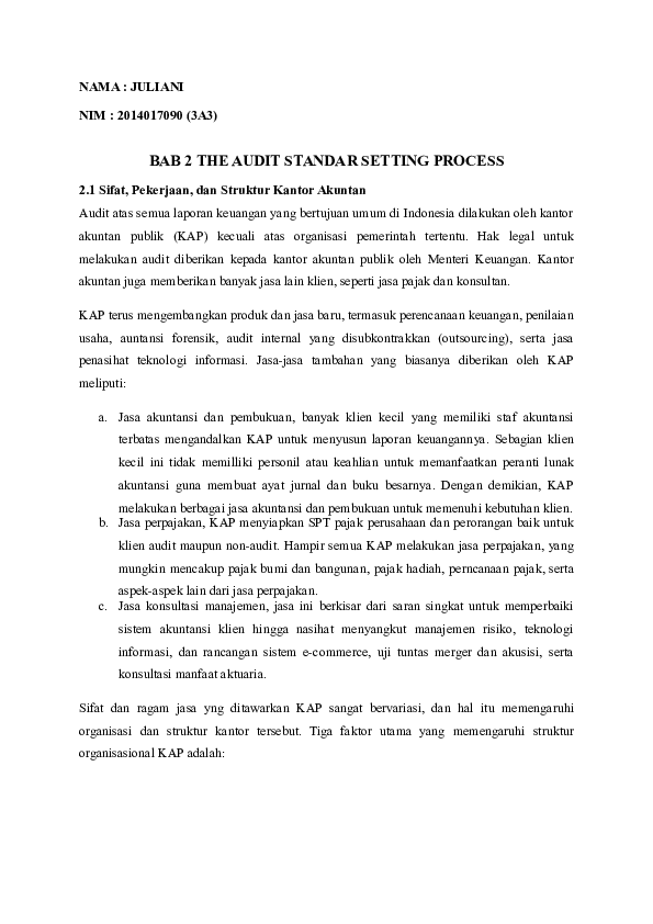 (DOC) the audit standard setting process