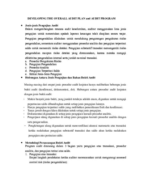 (DOC) Developing the Overall Audit Plan and Audit Program