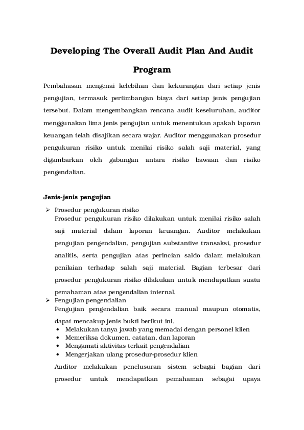 (DOC) Developing the overall audit plan and audit program