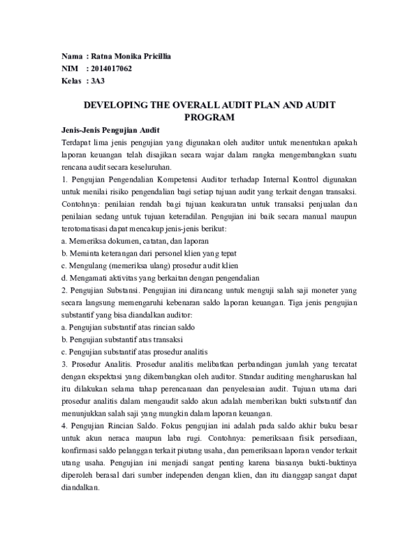 (DOC) developing the overall audit plan and audit program