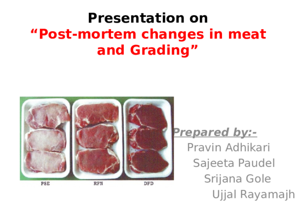 Meat grading presentation paper