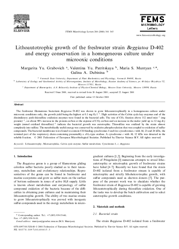 (PDF) Lithoautotrophic Growth of Beggiatoa D-402 Under Microoxia
