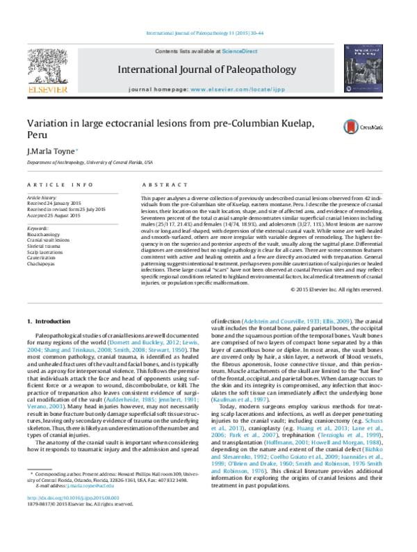 (PDF) Variation in large ectocranial lesions from pre-Columbian Kuelap ...