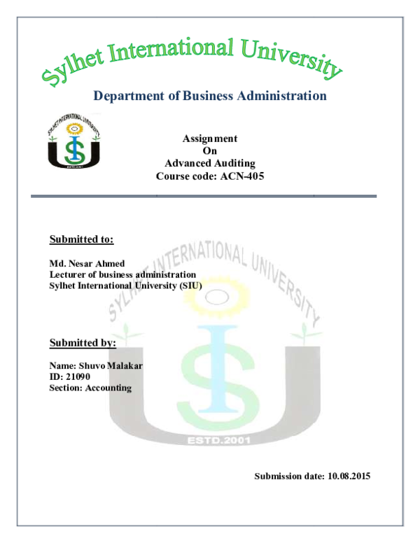 (PDF) Sample Audit Report