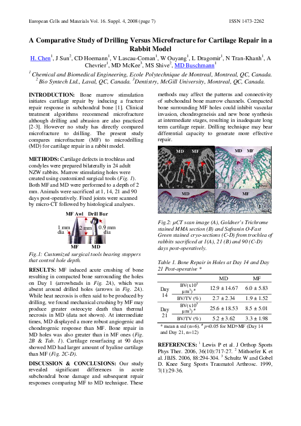 (PDF) A Comparative Study of Drilling Versus Microfracture for ...