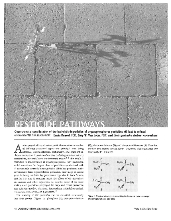 (PDF) Pesticide pathways - Close chemical consideration of the ...