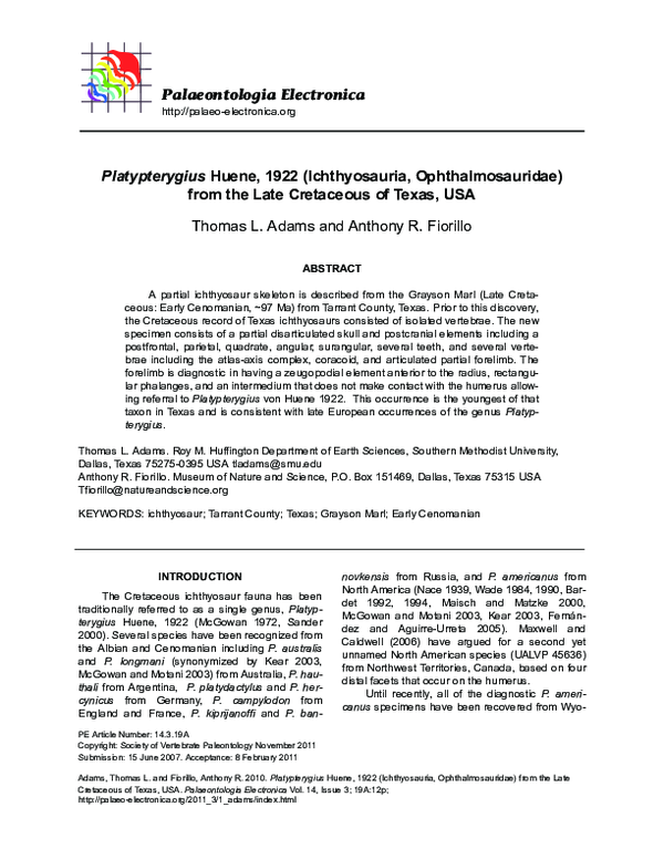 (PDF) Platypterygius Huene, 1922 (Ichthyosauria, Ophthalmosauridae ...