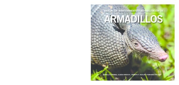(PDF) Manual de mantenimiento y rehabilitación de armadillos