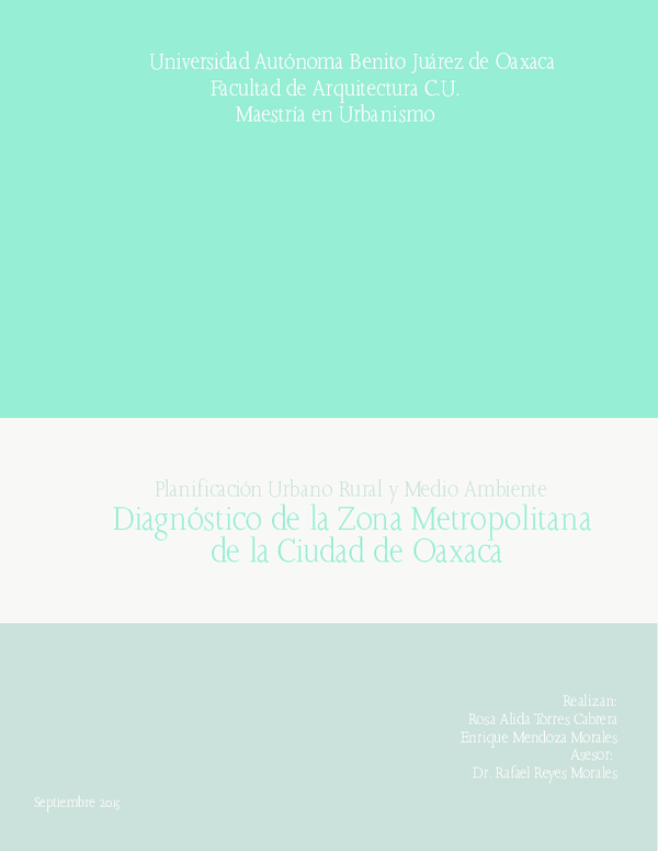(PDF) DIAGNOSTICO ZMCO