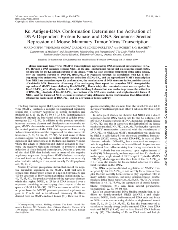 (PDF) Ku Antigen-DNA Conformation Determines the Activation of DNA ...