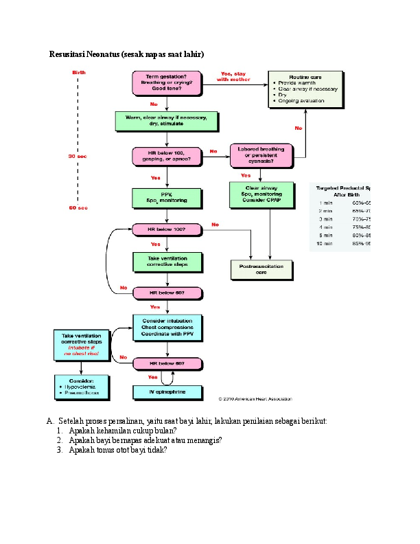 (DOC) resusitasi neonatus