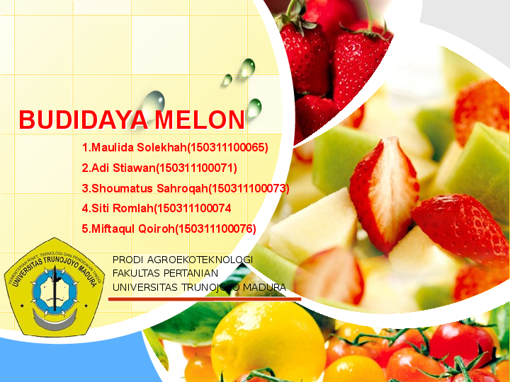 (PPT) BUDIDAYA MELON maulida