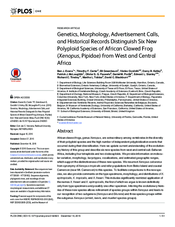 (PDF) A mitochondrial DNA phylogeny of African clawed frogs ...