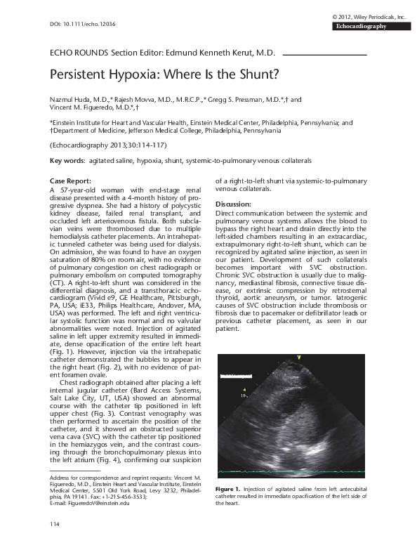 (PDF) Persistent Hypoxia: Where Is the Shunt?