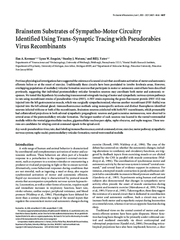 (PDF) Brainstem substrates of sympatho-motor circuitry identified using ...