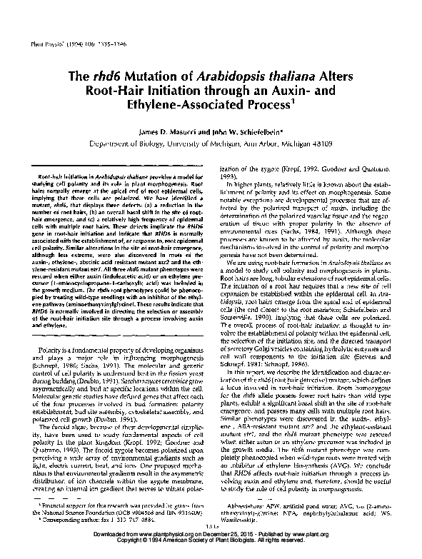 (PDF) The rhd6 Mutation of Arabidopsis thaliana Alters Root-Hair ...