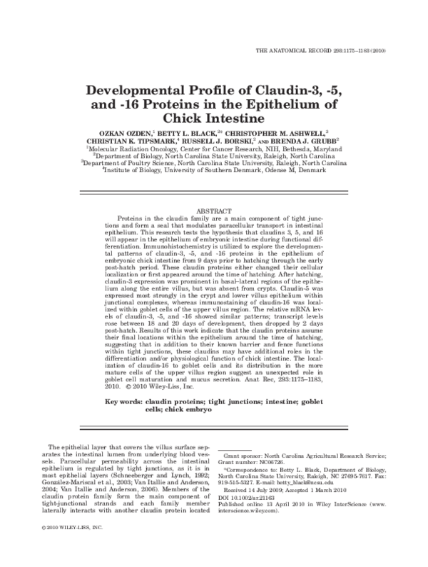 (PDF) Developmental Profile of Claudin-3, -5, and -16 Proteins in the ...