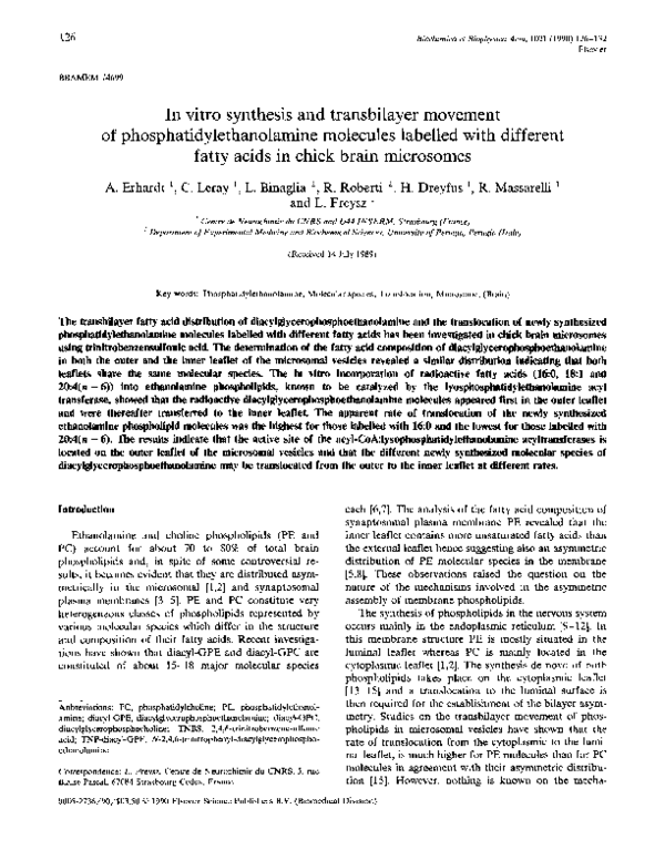 (PDF) In vitro synthesis and transbilayer movement of ...