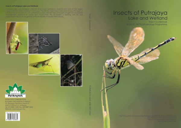 (PDF) Insects of Putrajaya Lake and Wetland: Insect guidebook