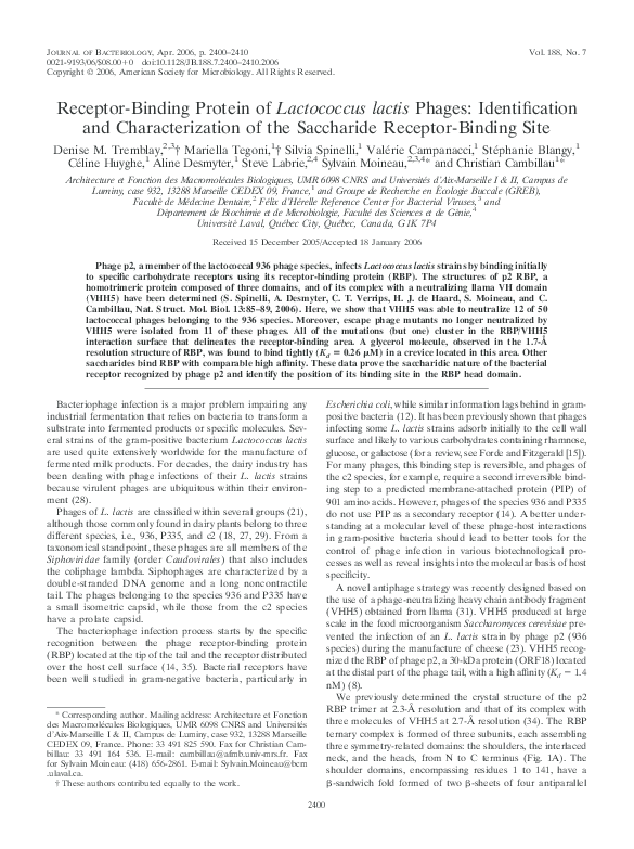(PDF) Receptor-Binding Protein of Lactococcus lactis Phages ...