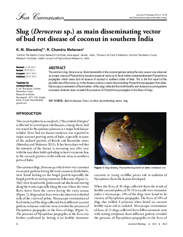 (PDF) Slug (Deroceras sp.) as main disseminating vector of bud rot ...