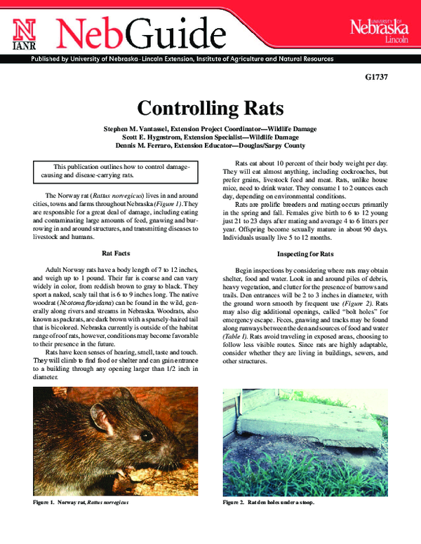 (PDF) Controlling Rats