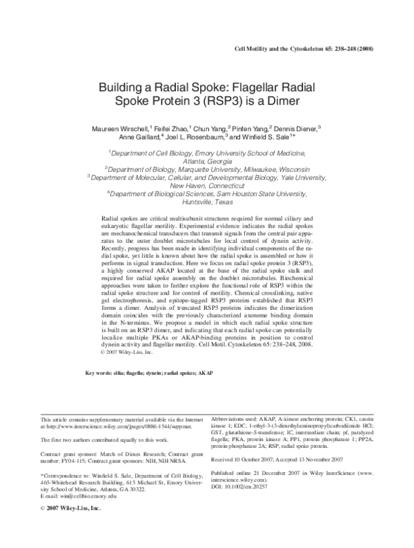 (PDF) Building a radial spoke: Flagellar radial spoke protein 3 (RSP3 ...