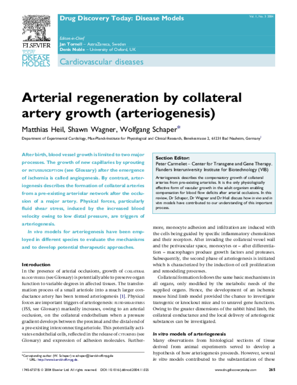 (PDF) Arterial regeneration by collateral artery growth (arteriogenesis)