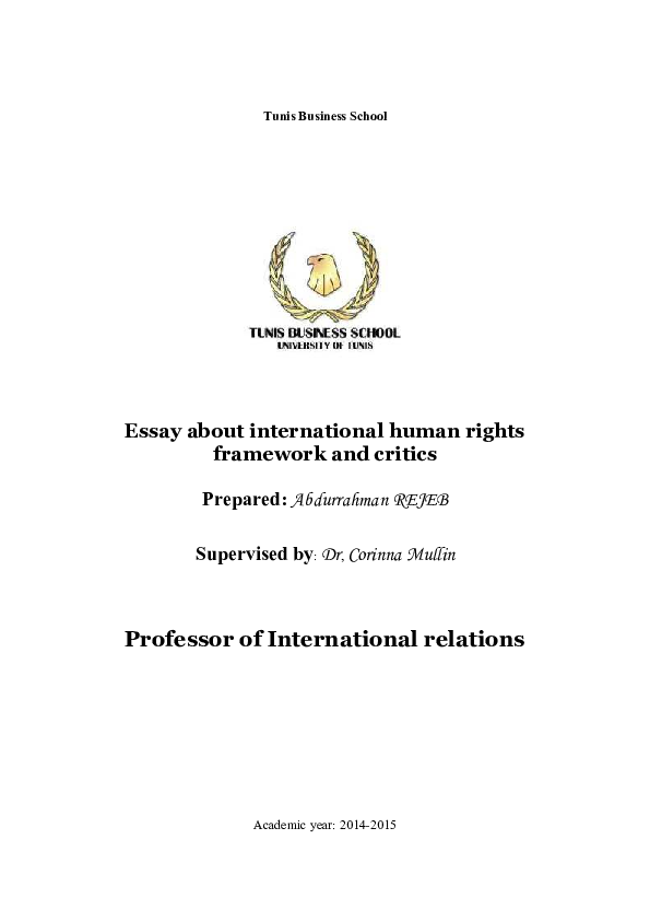 (PDF) International human rights framework