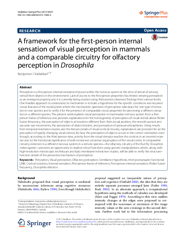 (PDF) A framework for the first-person internal sensation of visual ...
