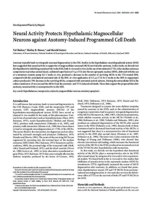 (PDF) Neural Activity Protects Hypothalamic Magnocellular Neurons ...