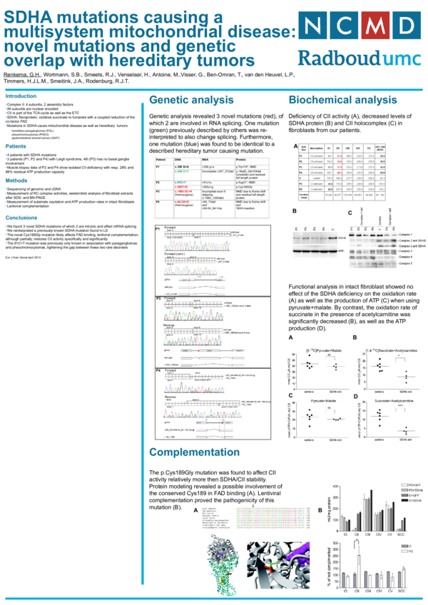 (PPT) SDHA mutations causing a multisystem mitochondrial disease: novel ...