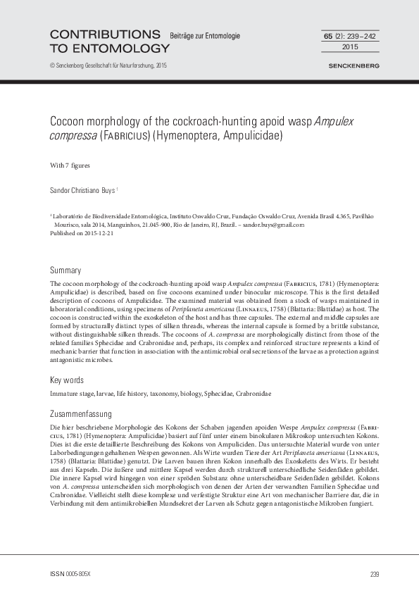 (PDF) Cocoon morphology of the cockroach-hunting apoid wasp Ampulex ...