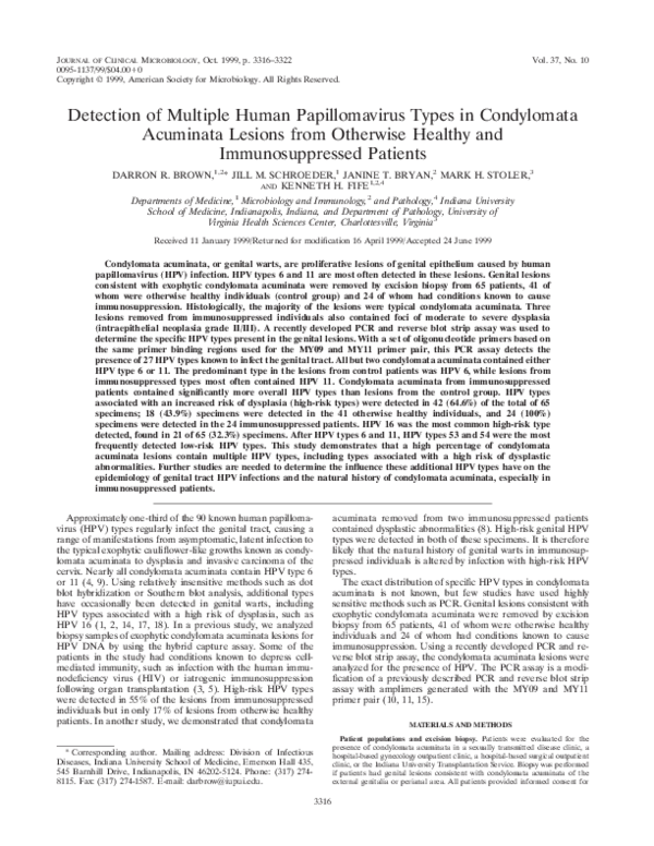 (PDF) Detection of multiple human papillomavirus types in Condylomata ...