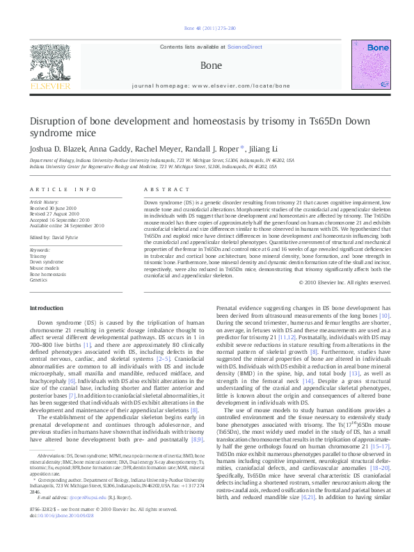 (PDF) Disruption of bone development and homeostasis by trisomy in ...