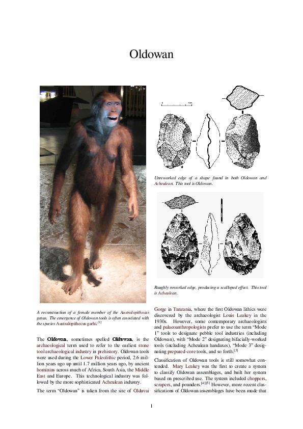 (PDF) Oldowan Industry