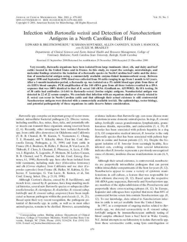 (PDF) Infection with Bartonella weissii and Detection of Nanobacterium ...